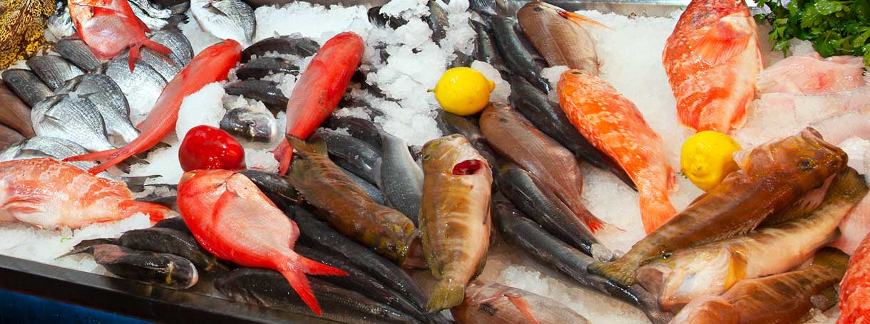 Fresh Fish in Toronto | Osler Fish Market and A Lota Seafoods