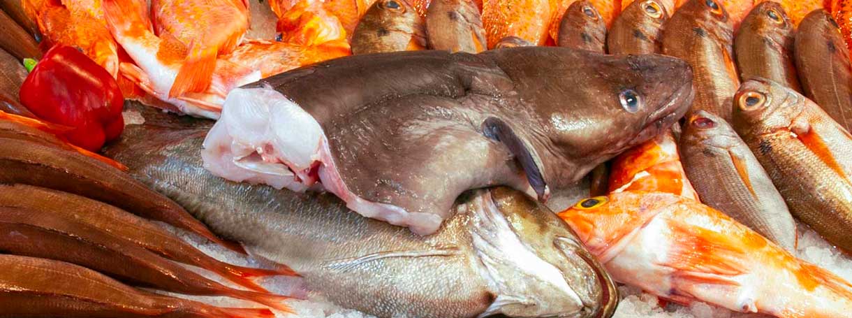 Fresh Fish in Toronto | Osler Fish Market and A Lota Seafoods
