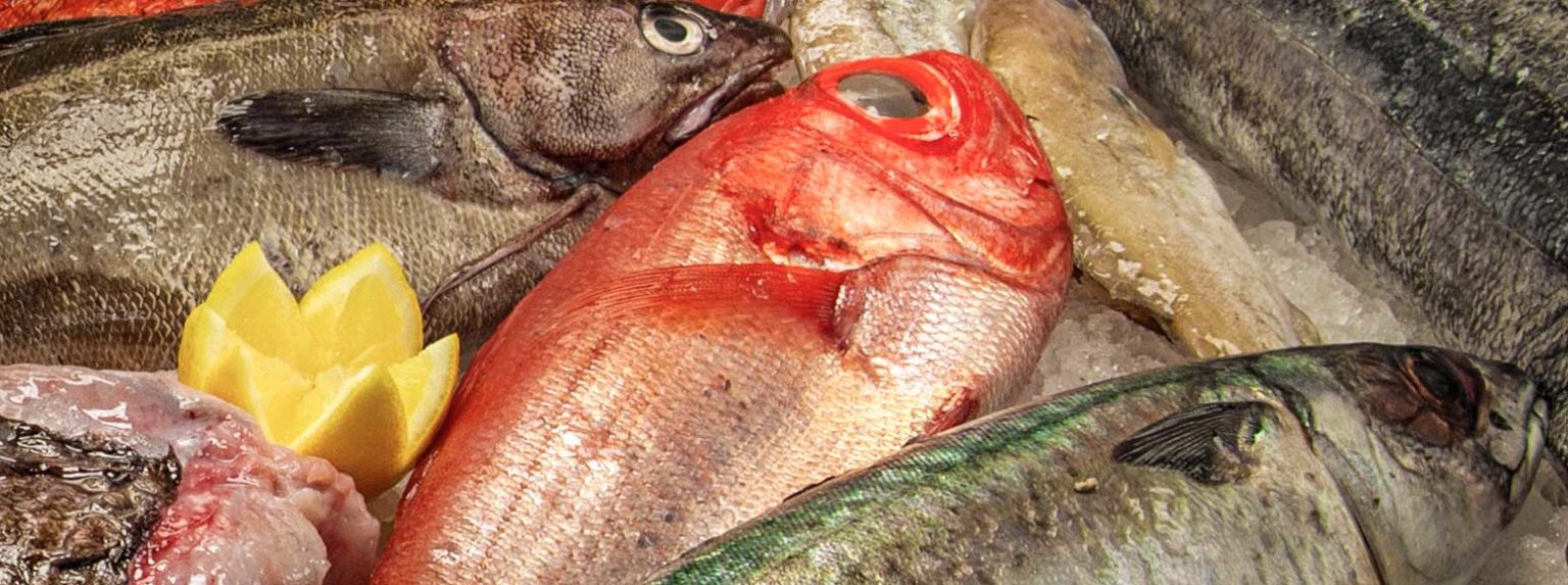 Fresh Fish in Toronto | Osler Fish Market and A Lota Seafoods