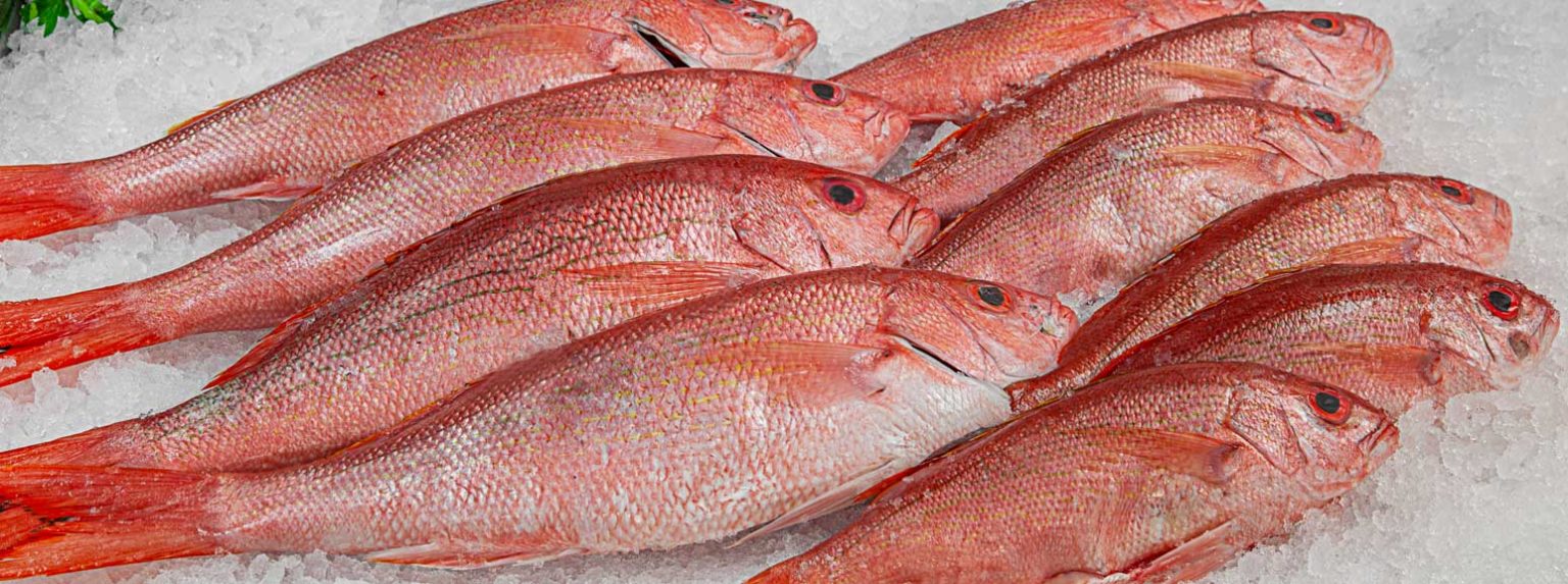 Fresh Fish in Toronto | Osler Fish Market and A Lota Seafoods